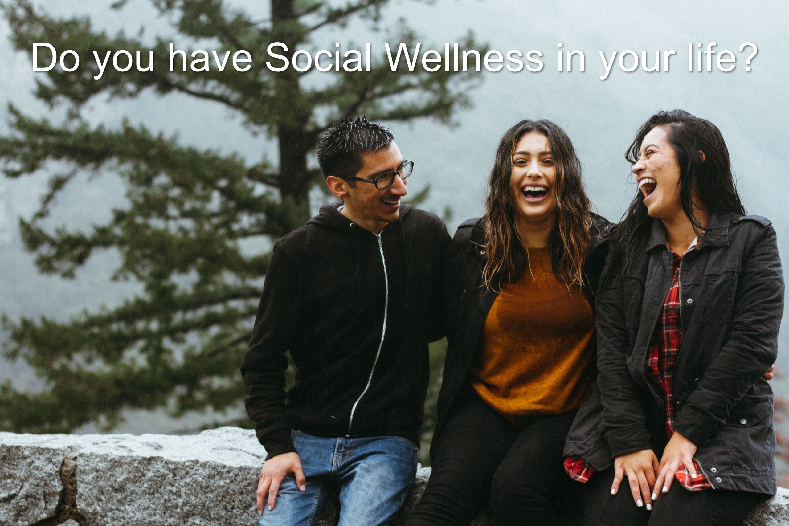 Social Wellness - Wills Transfer